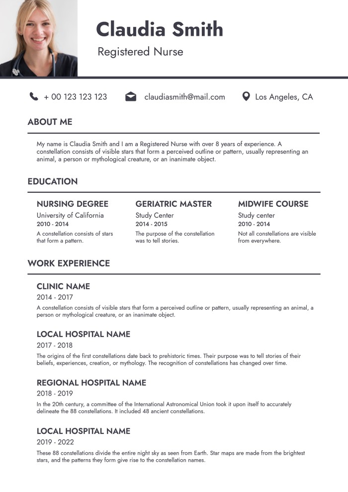 Free Professional Nursing CV Template To Customize