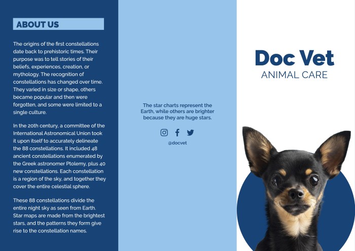 Free Professional Doc Vet Animal Care Brochure template