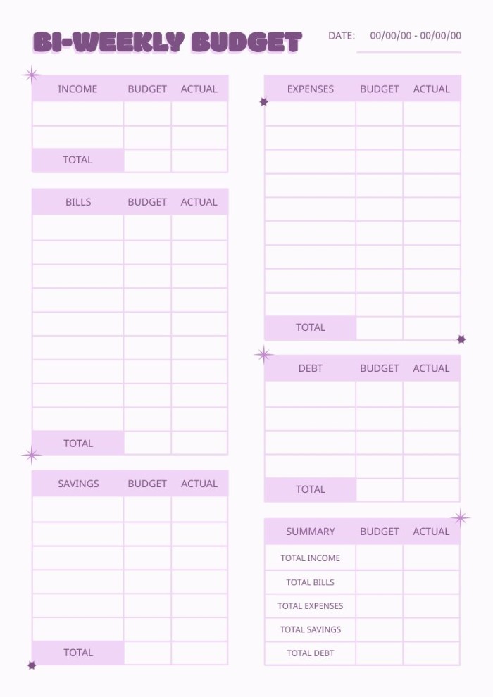 Customize And Download This Aesthetic Bi weekly Budget 47 OFF